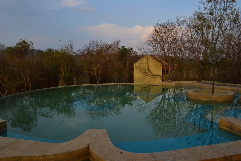 krishna Raja Sagar Dam->Bandipur->Mysore - TripMantu